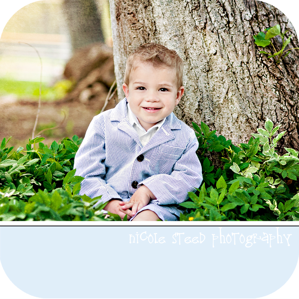 2 Year Old Nicole Steed Photography 2 Year Old Nicole Steed Photography